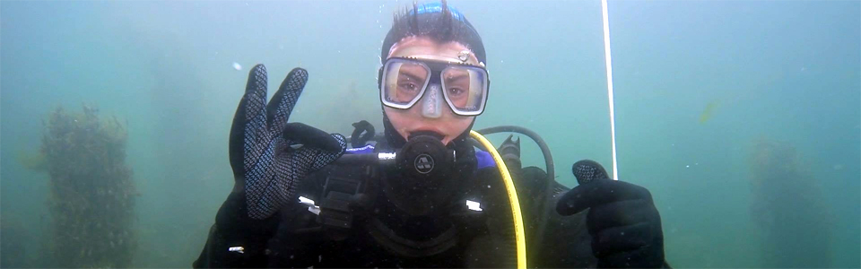 Lisburn Sub Aqua Club - BSAC Scuba diving club in Lisburn
